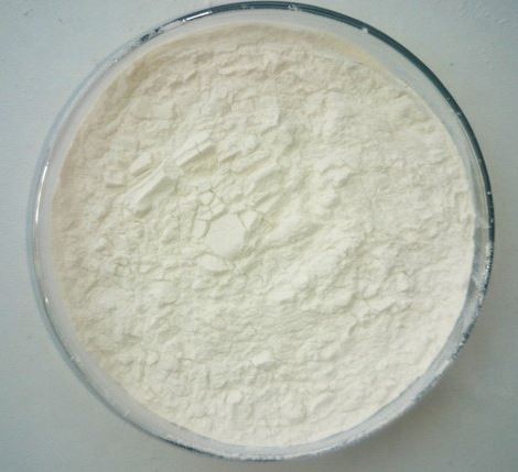 lipaz enzimi – GREEN AGRI